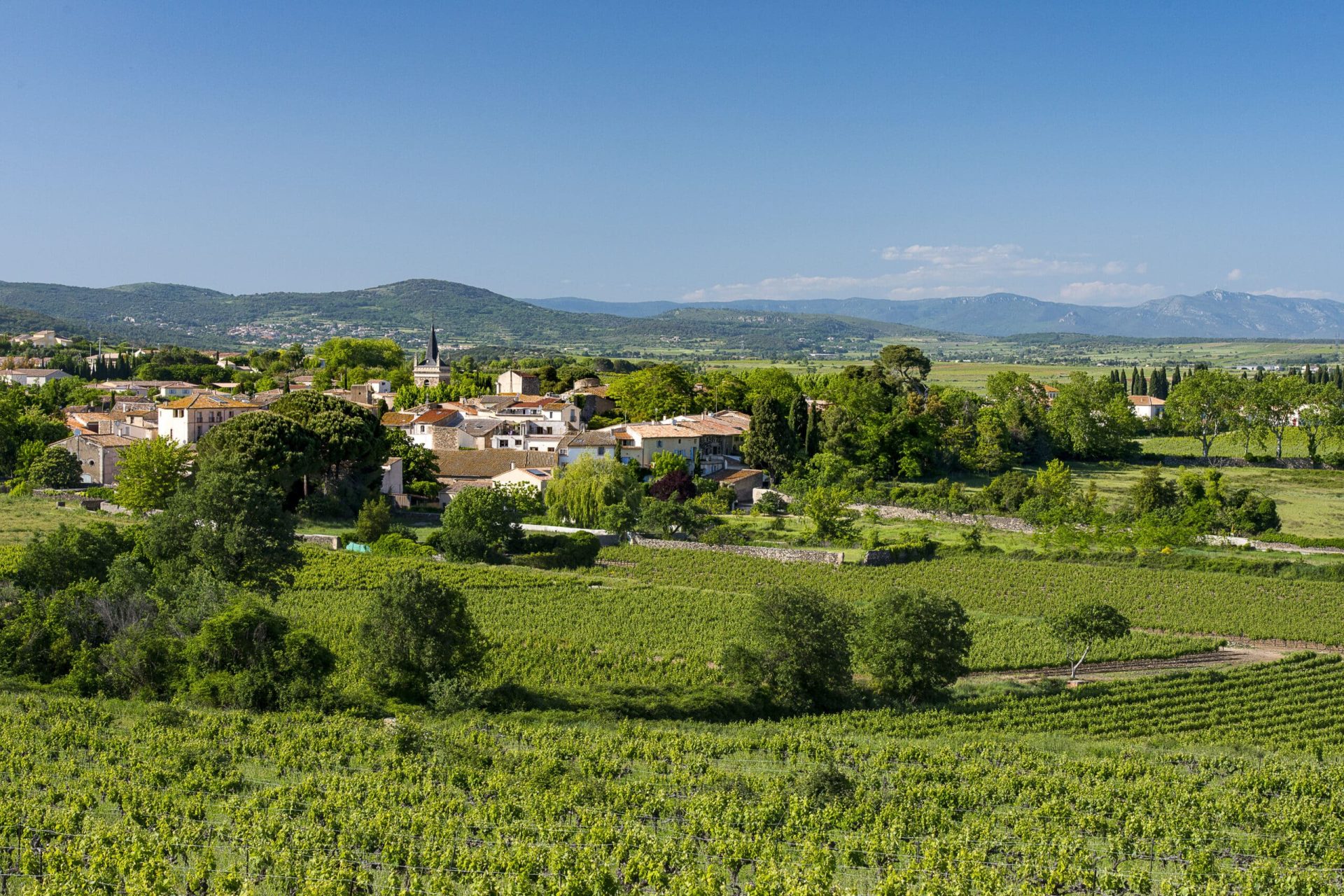 Nizas | Office de Tourisme Cap d'Agde Méditerranée, Hérault, Occitanie