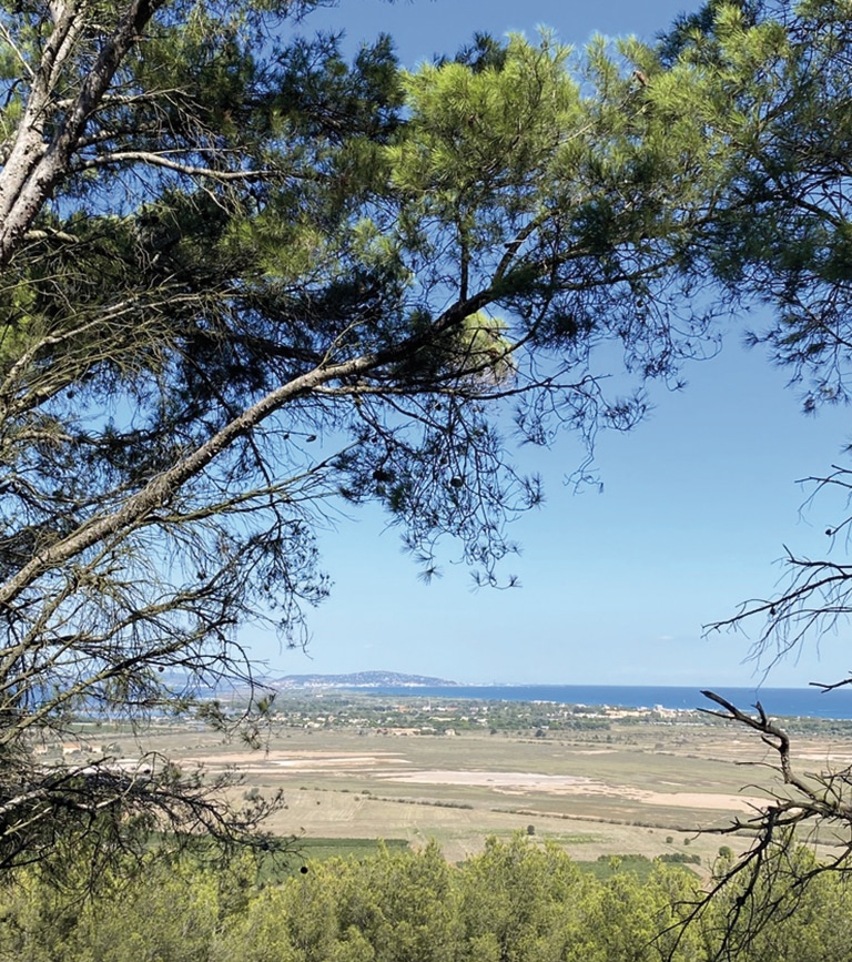 5 idées d'activités à faire au Cap d'Agde en hiver | Office de Tourisme ...