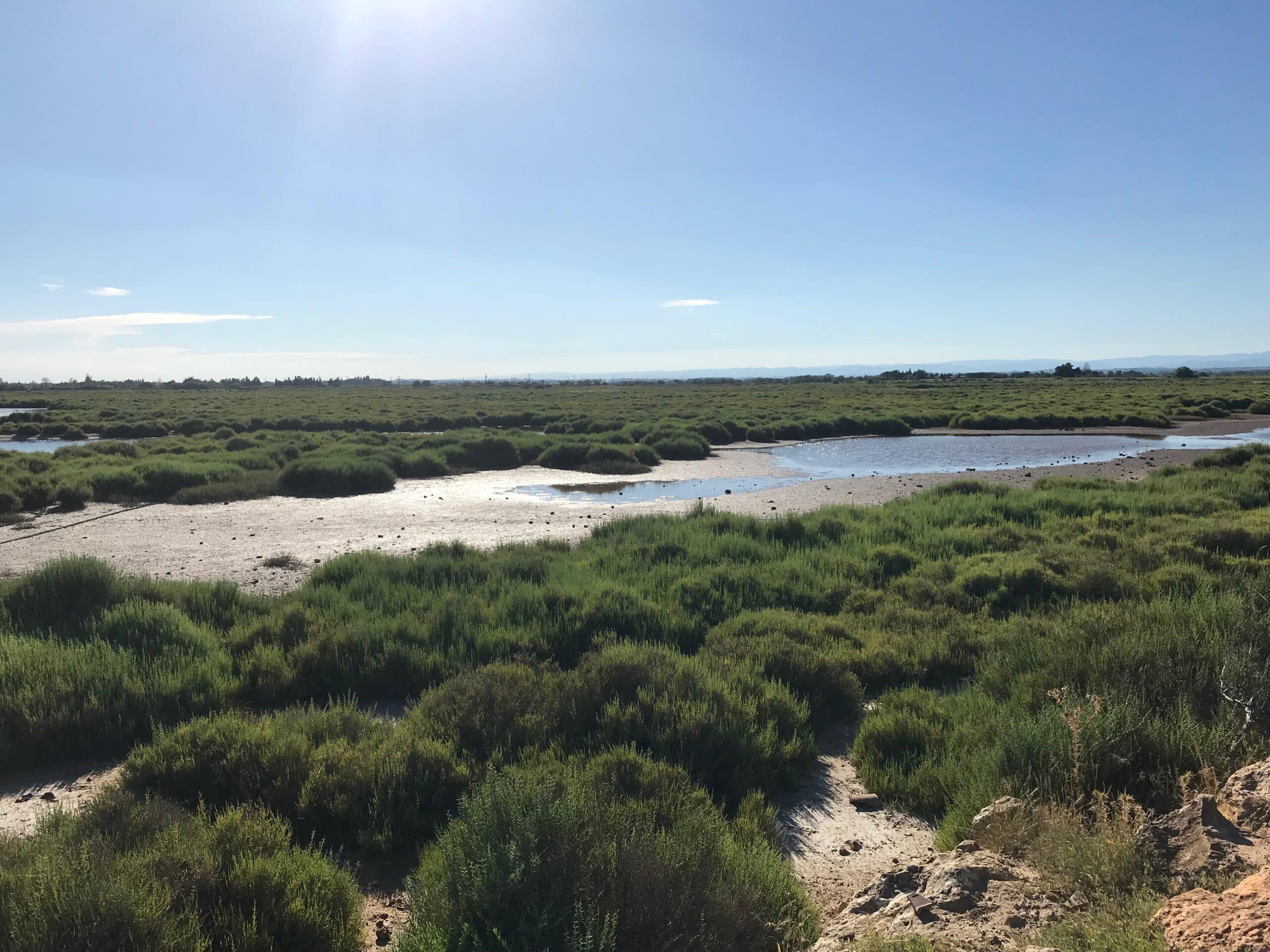 Natural areas | Office de Tourisme Cap d'Agde Méditerranée, Hérault ...